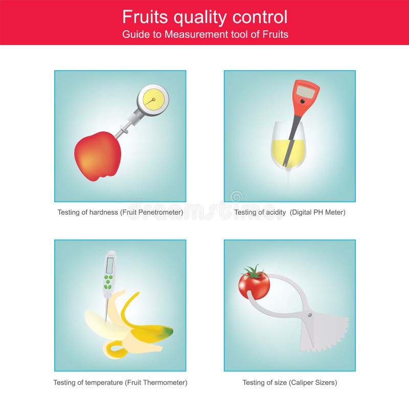 Sample Figure Illustrate Measurement Tool of Fruits for Quality Control ...