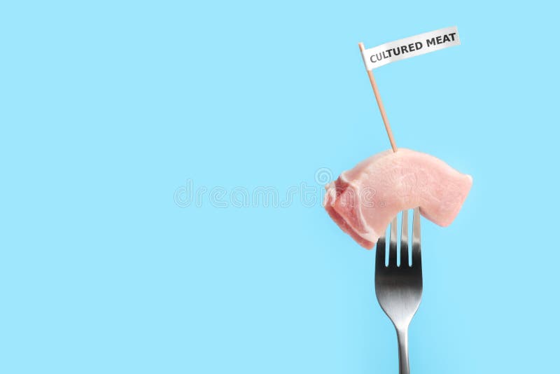 Sample of Lab Grown Pork Labeled Cultured Meat on Fork Against Light ...