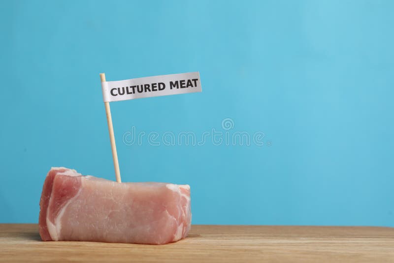Sample of Lab Grown Pork Labeled Cultured Meat on Wooden Table. Space ...