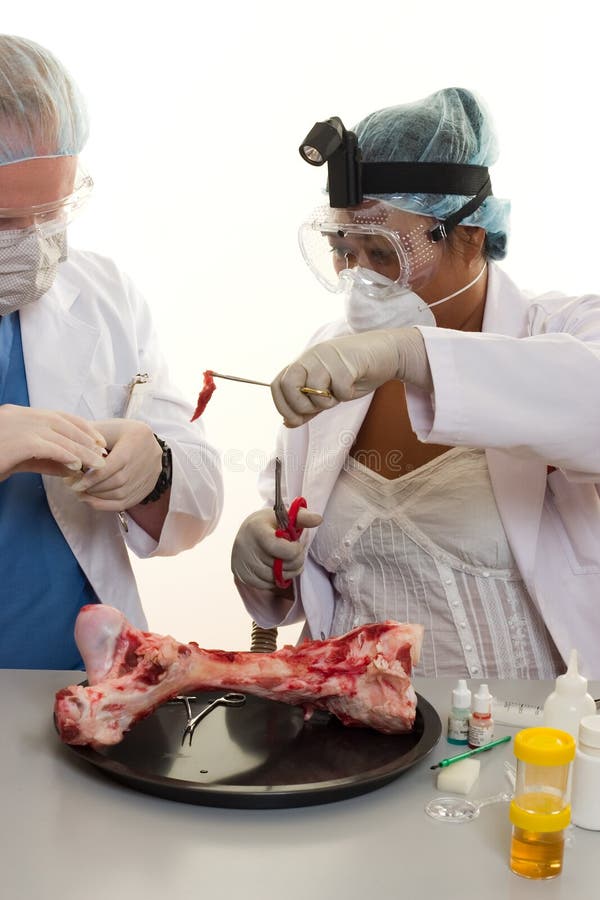 Sample for Laboratory Testing Stock Photo - Image of workteam, goggles ...