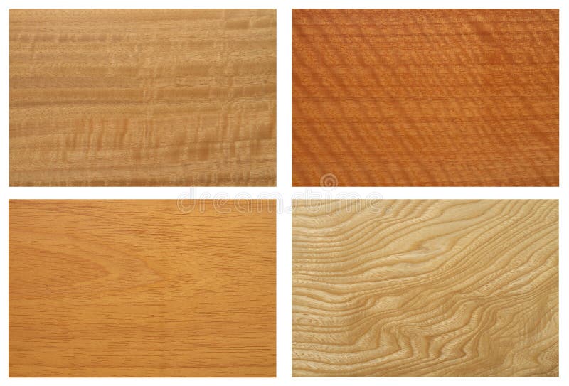 Sample of Light Brown Wood Texture Stock Photo - Image of brown, color ...