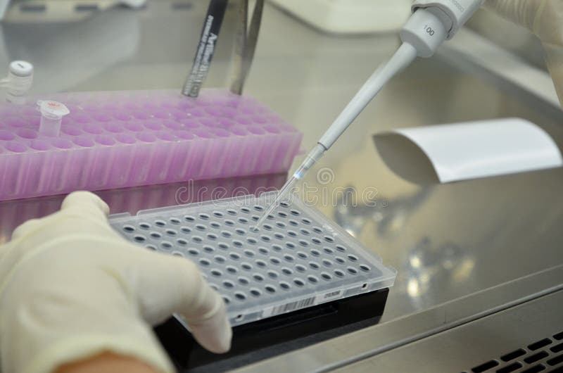 Sample loading stock image. Image of kits, glove, loading - 66252593