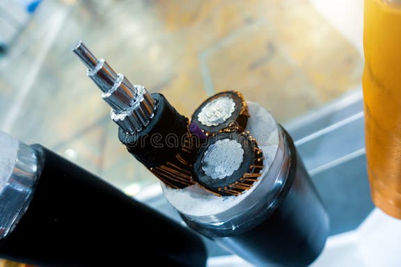 Sample Multicore Cable. Cut and Stripped Wire Stock Image - Image of ...