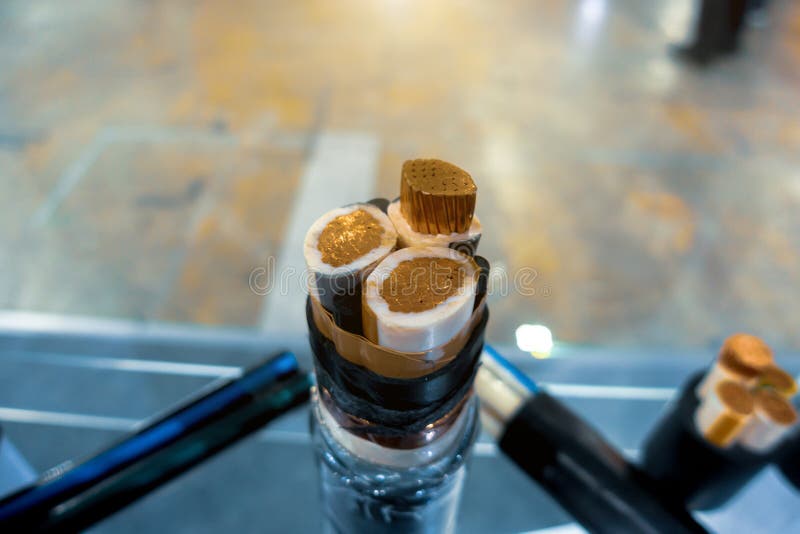 Sample Multicore Cable. Cut and Stripped Wire Stock Image - Image of ...