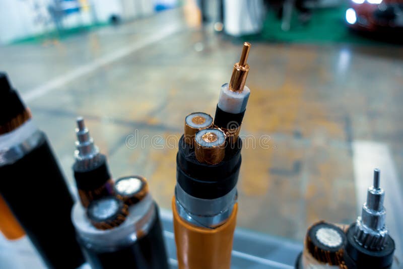 Sample Multicore Cable. Cut and Stripped Wire Stock Image - Image of ...