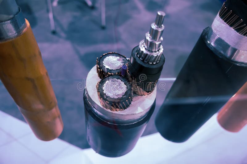 Sample Multicore Cable. Cut and Stripped Wire Stock Photo - Image of ...