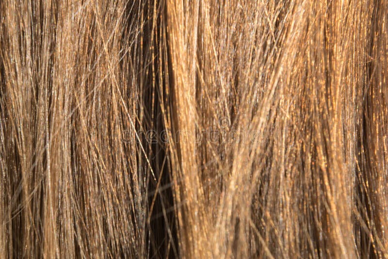 Sample Natural Blond Smooth Hair Stock Photo - Image of hairstyle ...