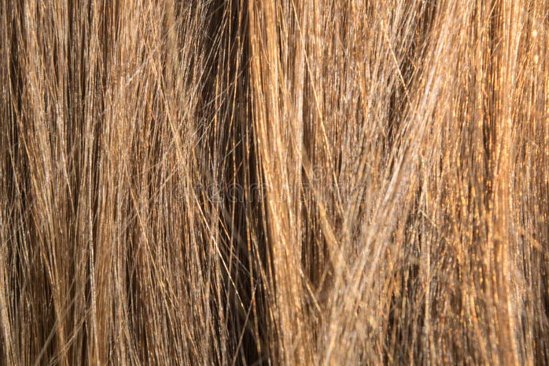 Sample Natural Blond Smooth Hair Stock Image - Image of growth, human ...