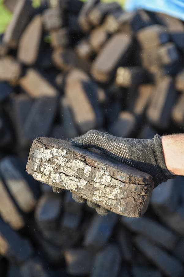 Sample of Peat Briquette in Hand, Production of Alternative Fuels Stock ...