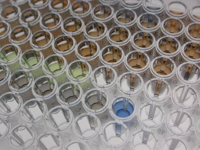 Sample plate-1 stock photo. Image of analysis, assay, development - 1417886