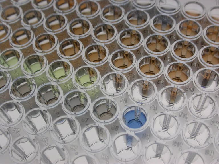 Sample plate-1 stock photo. Image of analysis, assay, development - 1417886