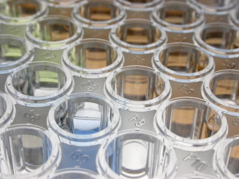 Sample plate-12 stock photo. Image of eppendorf, education - 1417912