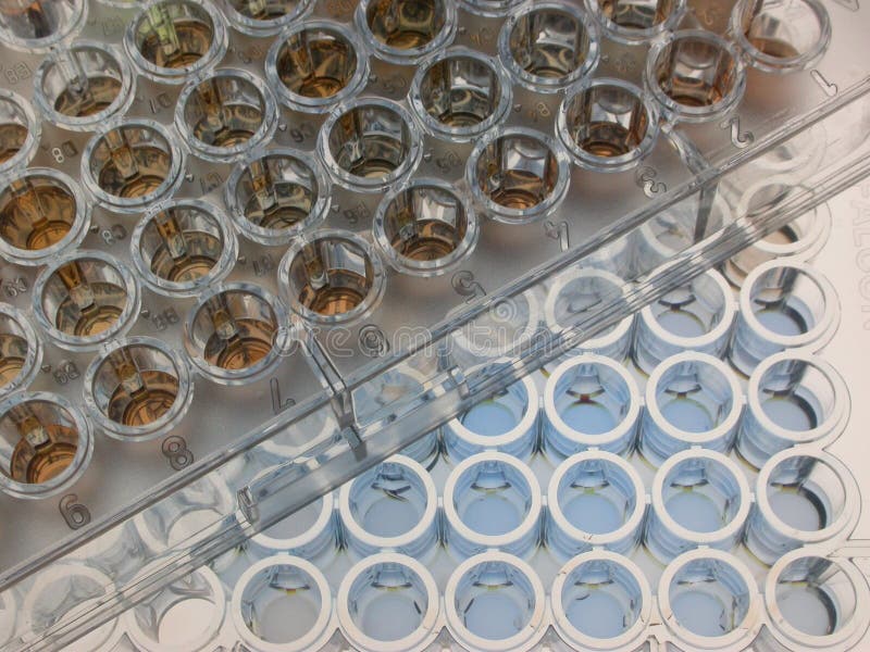 Sample plate-9 stock image. Image of circles, equipment - 1417903