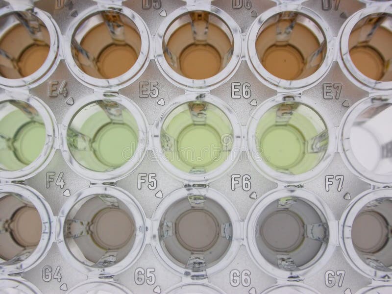 Sample plate-8 stock image. Image of automatic, biotech - 1417901