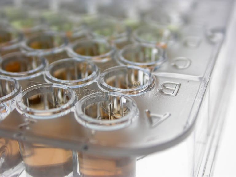 Sample plate-5 stock image. Image of eppendorf, biomedical - 1417891