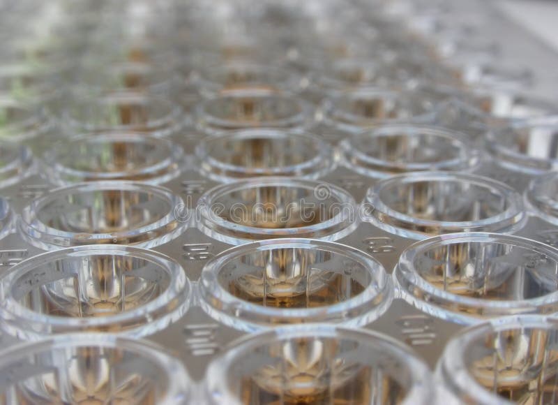 Sample plate-9 stock image. Image of circles, equipment - 1417903