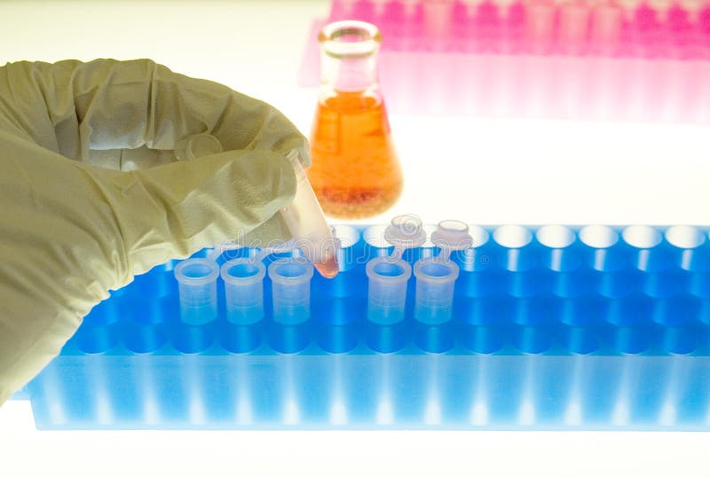 Sample Preparation stock photo. Image of specimen, science - 2491448