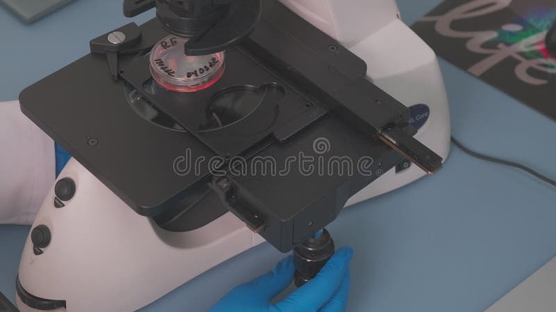 A Sample of a Substance is Observed Under a Microscope in a Laboratory ...