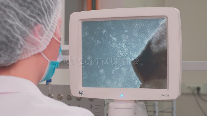 A Sample of a Substance Under a Microscope Displayed on Monitor Stock ...