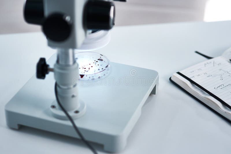 Sample, Test and Science of Analyse, Lens and Microscope for Study of ...