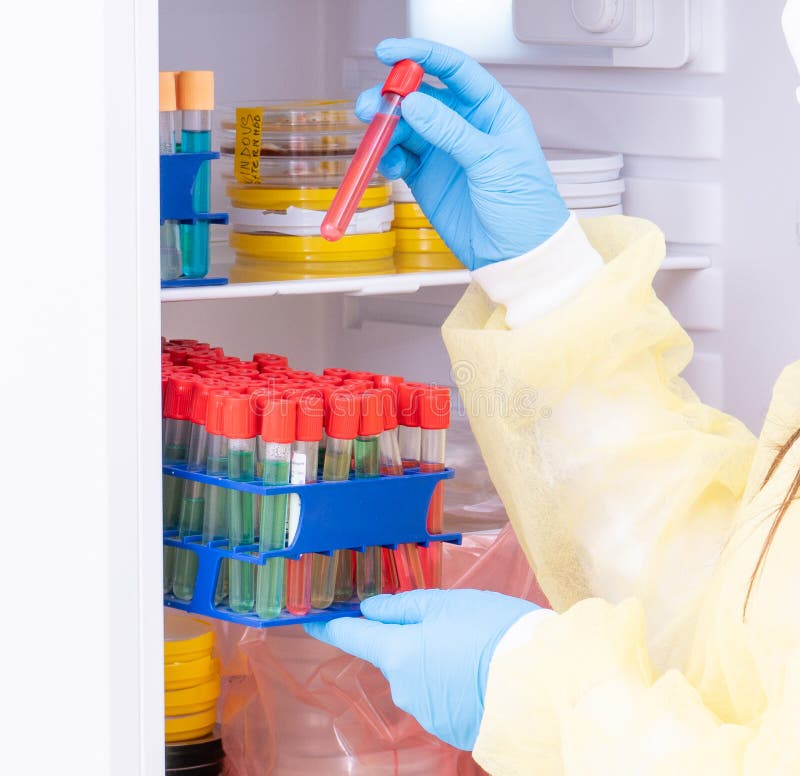 Samples of Biological Substances in the Refrigerator of the Laboratory ...