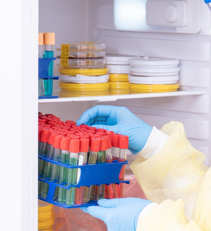 Samples of Biological Substances in the Refrigerator of the Laboratory ...