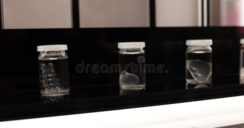 Samples of Clear Organs are Preserved in Jars for Laboratory ...