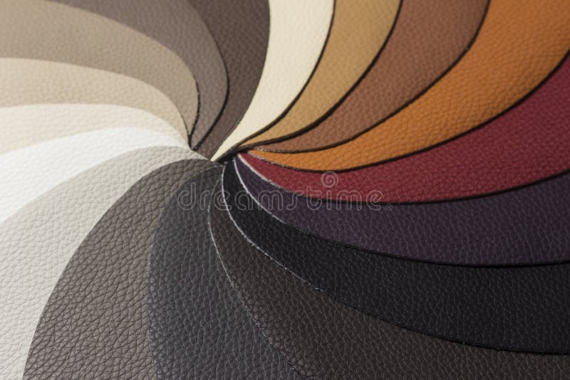 Samples of Leather Arranged in the Circle Composition Stock Image ...