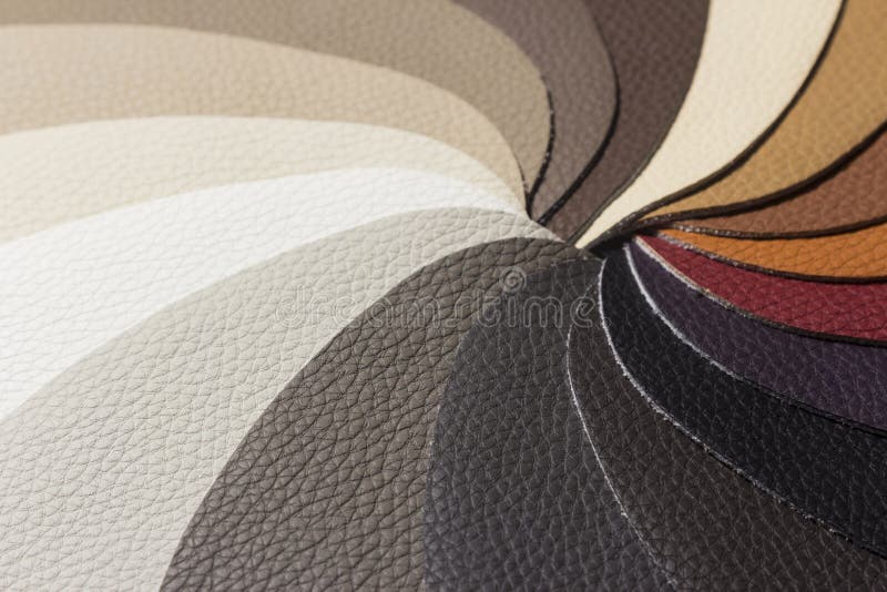 Samples of Leather Arranged in the Circle Composition Stock Photo ...