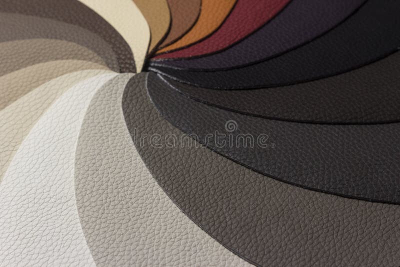 Samples of Leather Arranged in the Circle Composition Stock Image ...