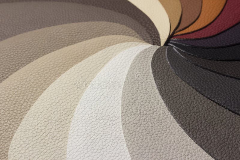 Samples of Leather Arranged in the Circle Composition Stock Photo ...