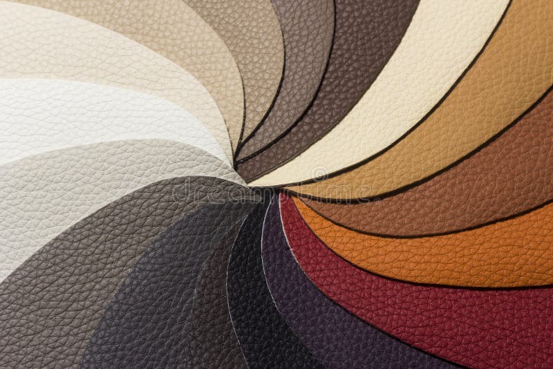 Samples of Leather Arranged in the Circle Composition Stock Photo ...