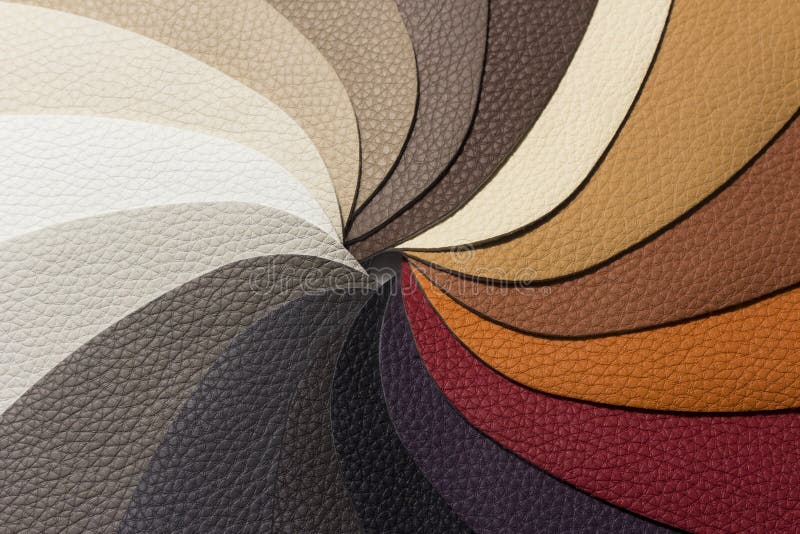 Samples of Leather Arranged in the Circle Composition Stock Image ...