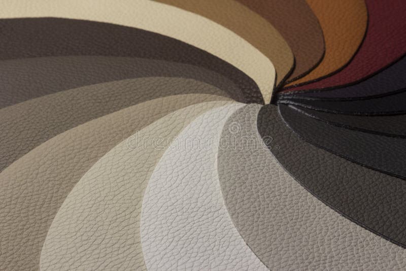 Samples of Leather Arranged in the Circle Composition Stock Photo ...