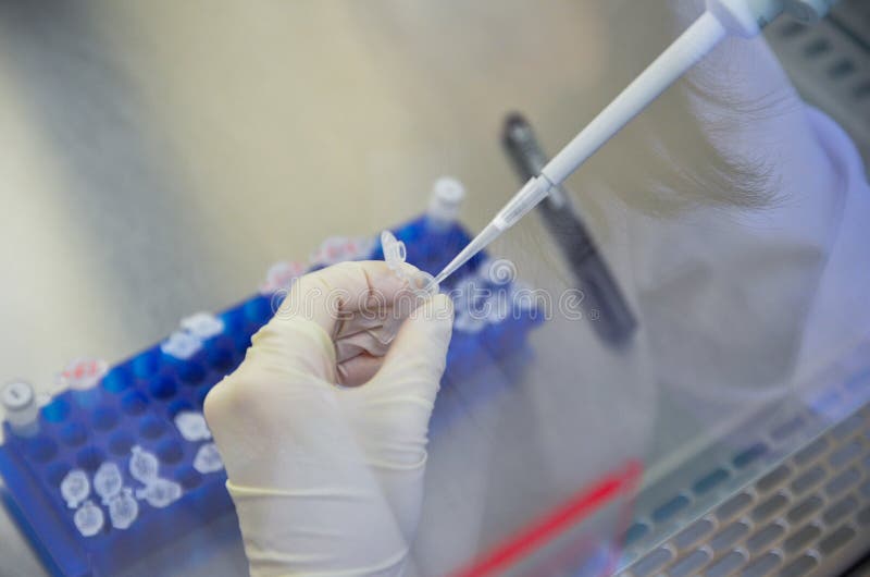 Sample loading stock photo. Image of detection, filter - 66252594