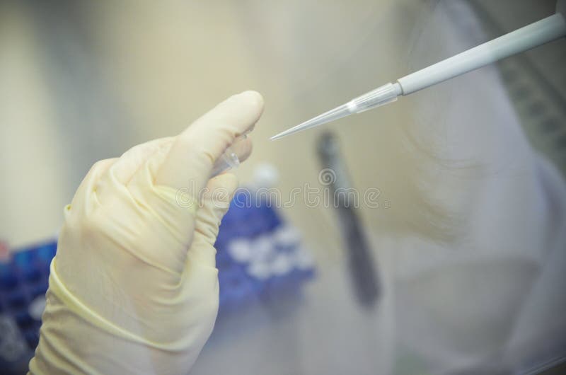 Samples loading stock image. Image of sample, biochemistry - 66252293