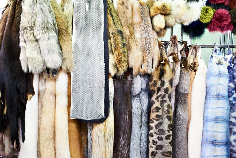 Samples of Natural Fur in Store Stock Image - Image of furrier ...