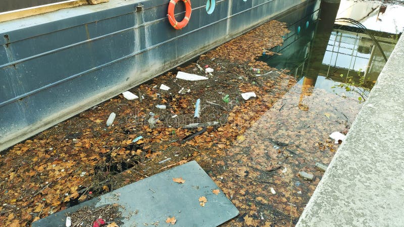 Samples of Trash Isolated on White Background Stock Image - Image of ...