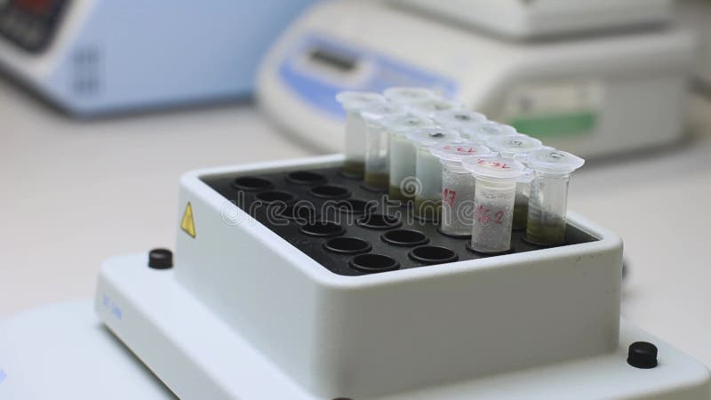 Samples are Shaking in the Termo Shaker and after Stop the Chemist ...