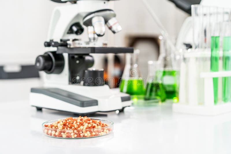 Samples of Soil, Microscope and Test Tubes on Table in Laboratory ...