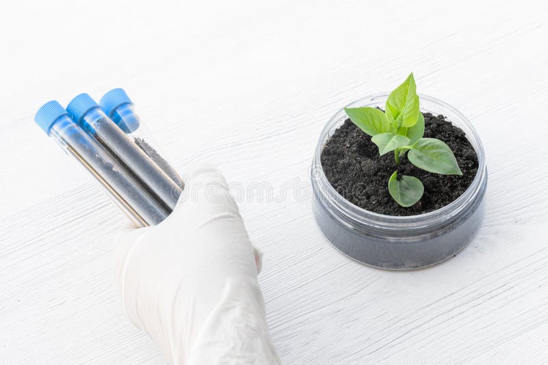 Samples of soil stock image. Image of analysing, pedology - 182642661