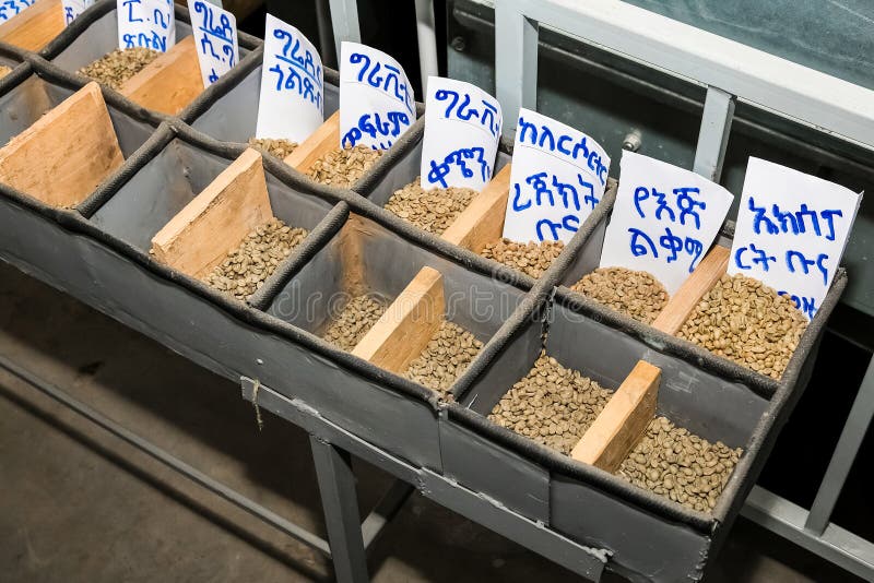 Samples of Various Raw Coffee Beans Editorial Photo - Image of fertile ...