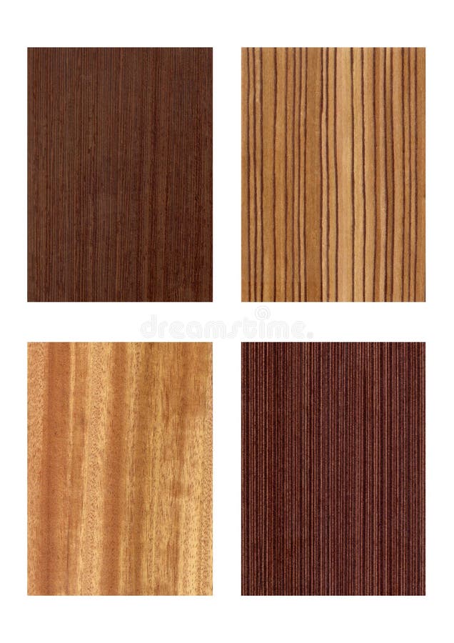 Samples of Veneer Wood Isolated on White Background. Stock Image ...