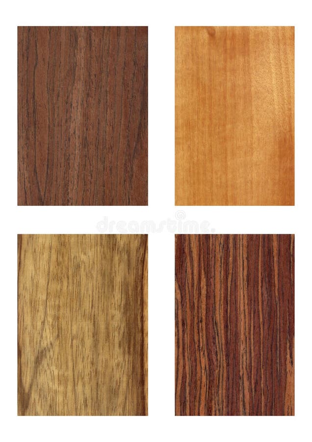 Samples of Veneer Wood Isolated on White Background. Stock Image ...