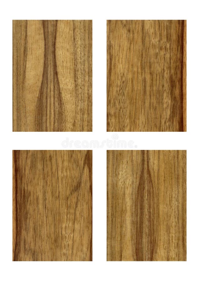 Samples of Veneer Wood Isolated on White Background. Stock Image ...