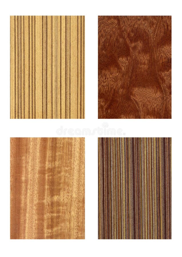 Samples of Veneer Wood Isolated on White Background. Stock Image ...