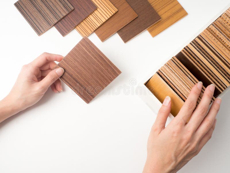 Samples of Veneer Wood on White Background. Interior Design Sele Stock ...