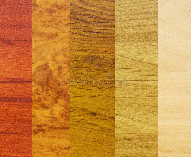 Samples of wood coatings stock image. Image of panel - 10557205