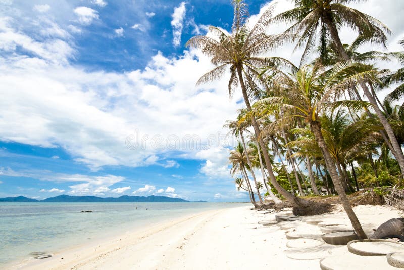 Samui Island stock image. Image of water, adventur, sport - 24699125