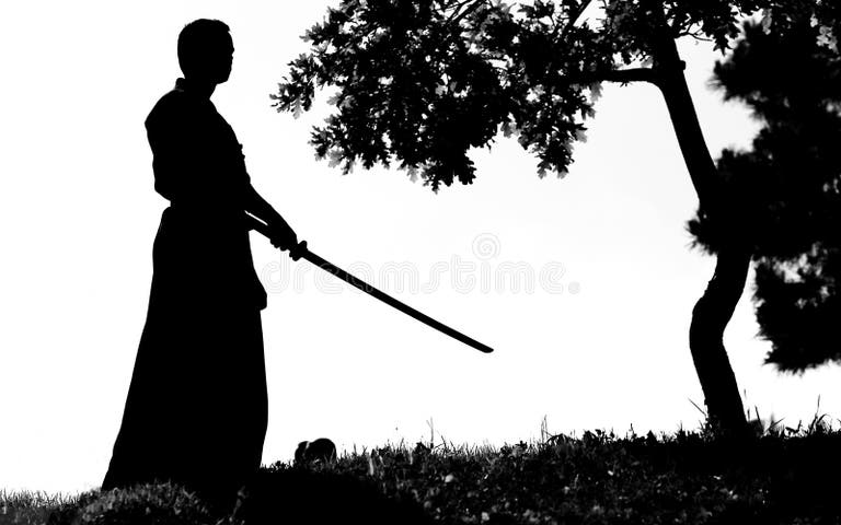 Samurai stock image. Image of katana, defending, like - 18866759